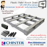 EP-1005 พาเลท Knock Down - CHINTER STORE