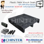EP-1021 พาเลท Knock Down - CHINTER STORE
